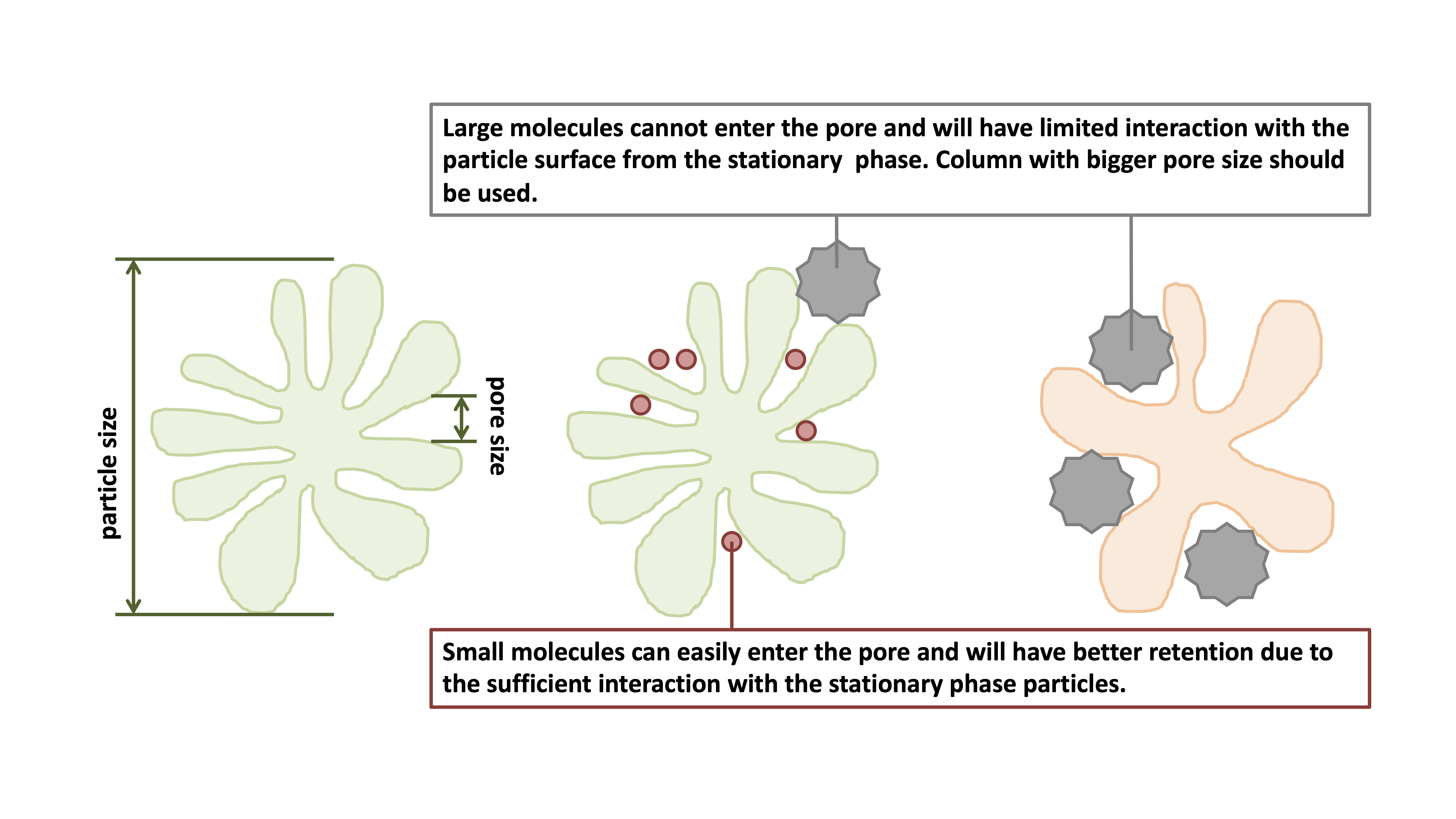 Peptide analysis using reverse phase liquid chromatography Peptide analysis using reverse phase liquid chromatography